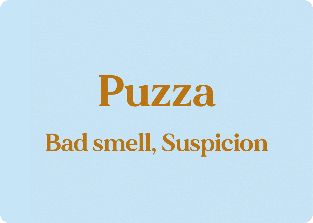 Meaning and definition of Puzza
