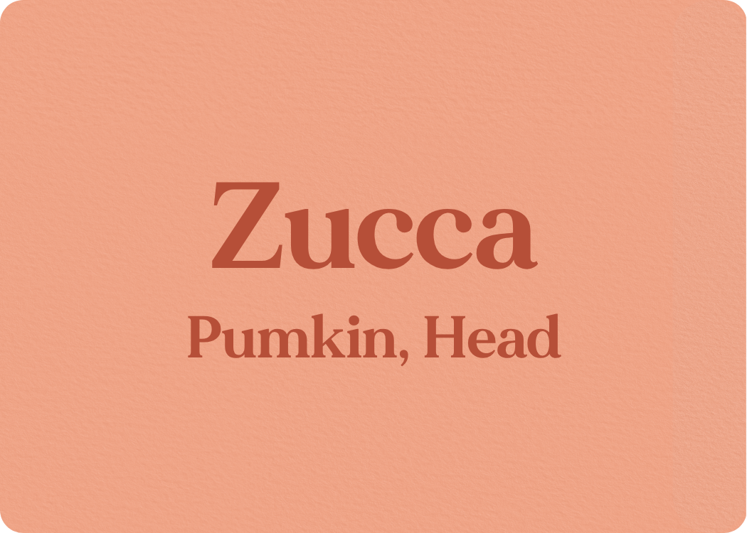 Meaning and definition of Zucca