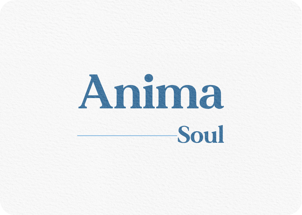 Meaning and definition of Anima