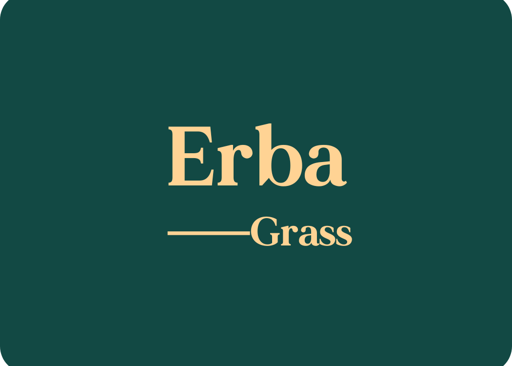 Meaning and definition of Erba